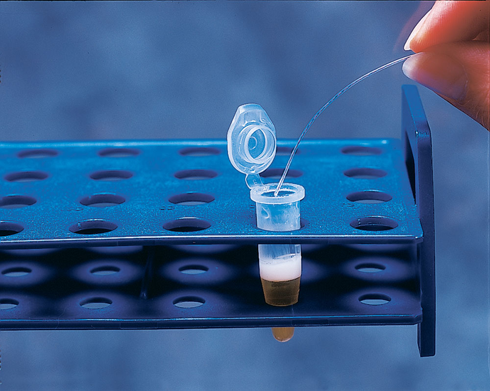 IT-18 Flexible Implantable Microprobe - Physitemp